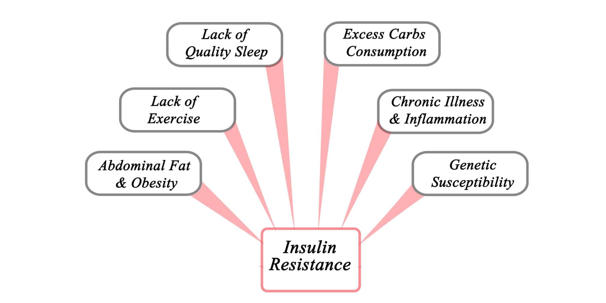 A Beginner's Guide to Insulin Resistance