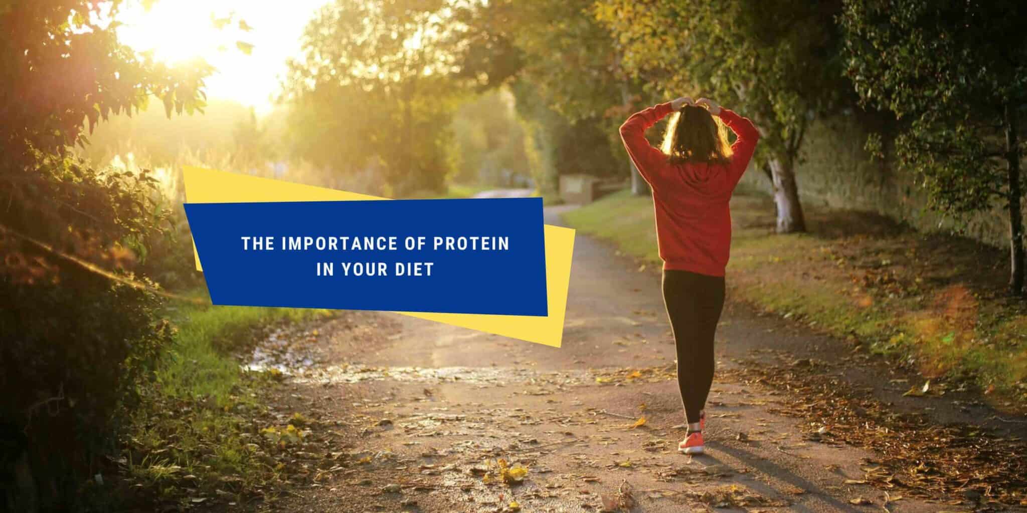 The Importance of Protein in Your Diet