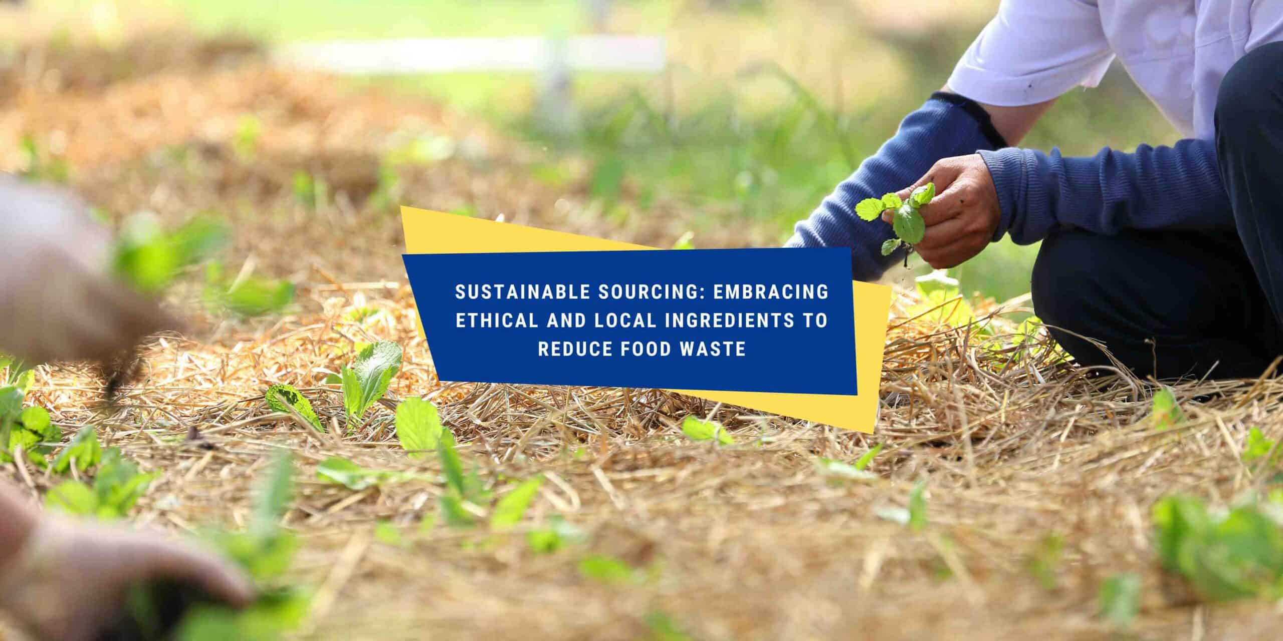 Sustainable Sourcing: Embracing Ethical and Local Ingredients