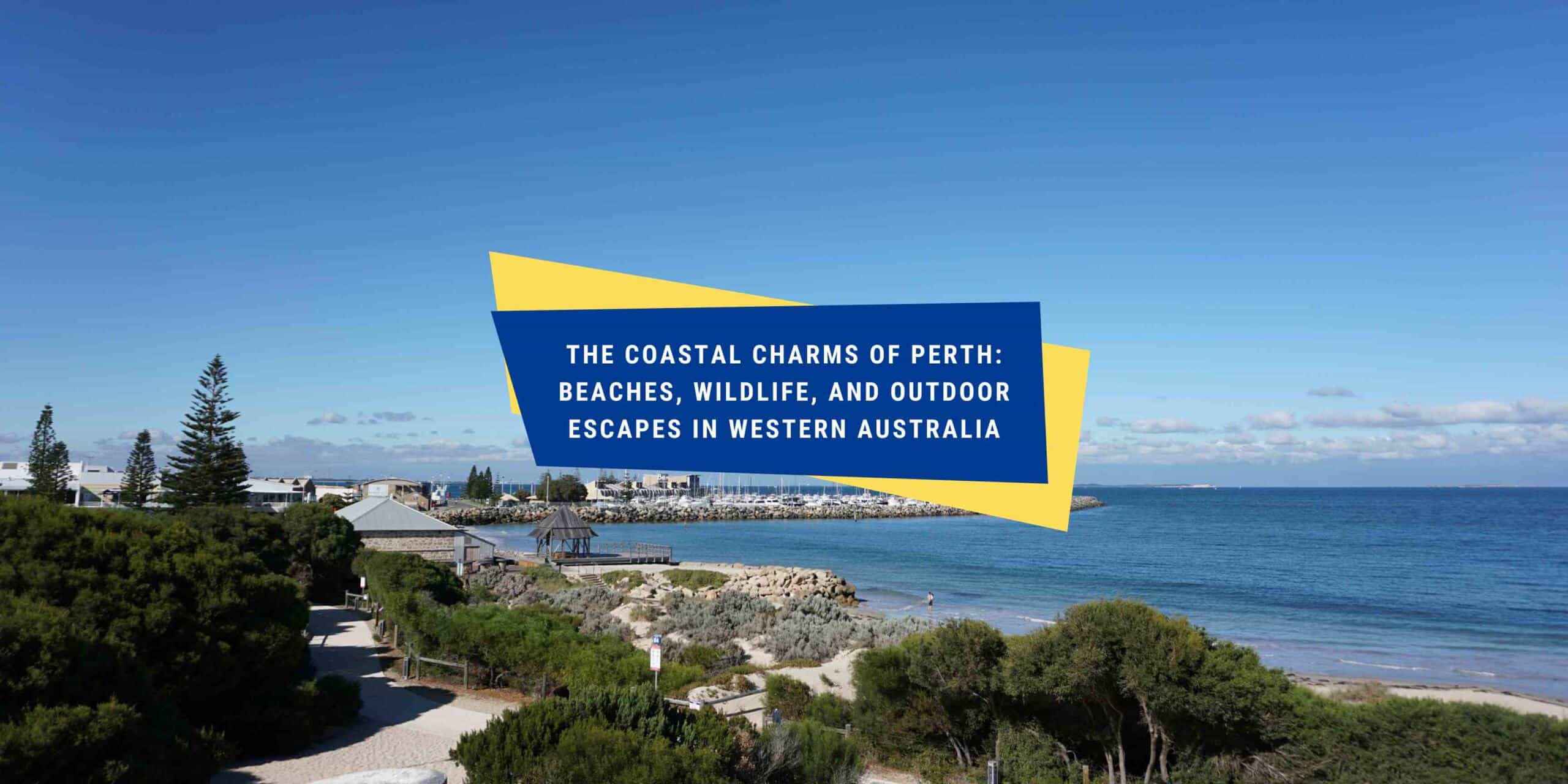 Coastal Charms of Perth: Beaches, Wildlife, and Outdoor Escapes