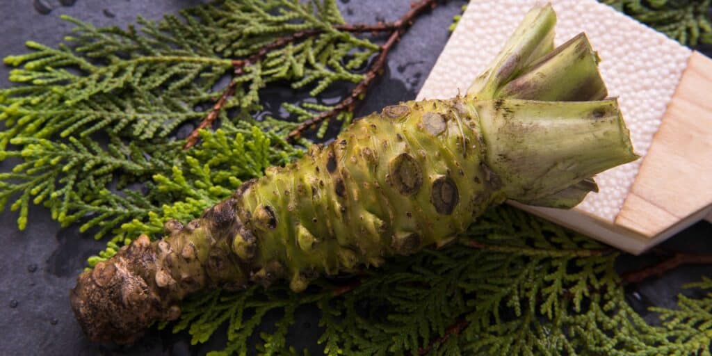 Exploring the Health Benefits of Wasabi