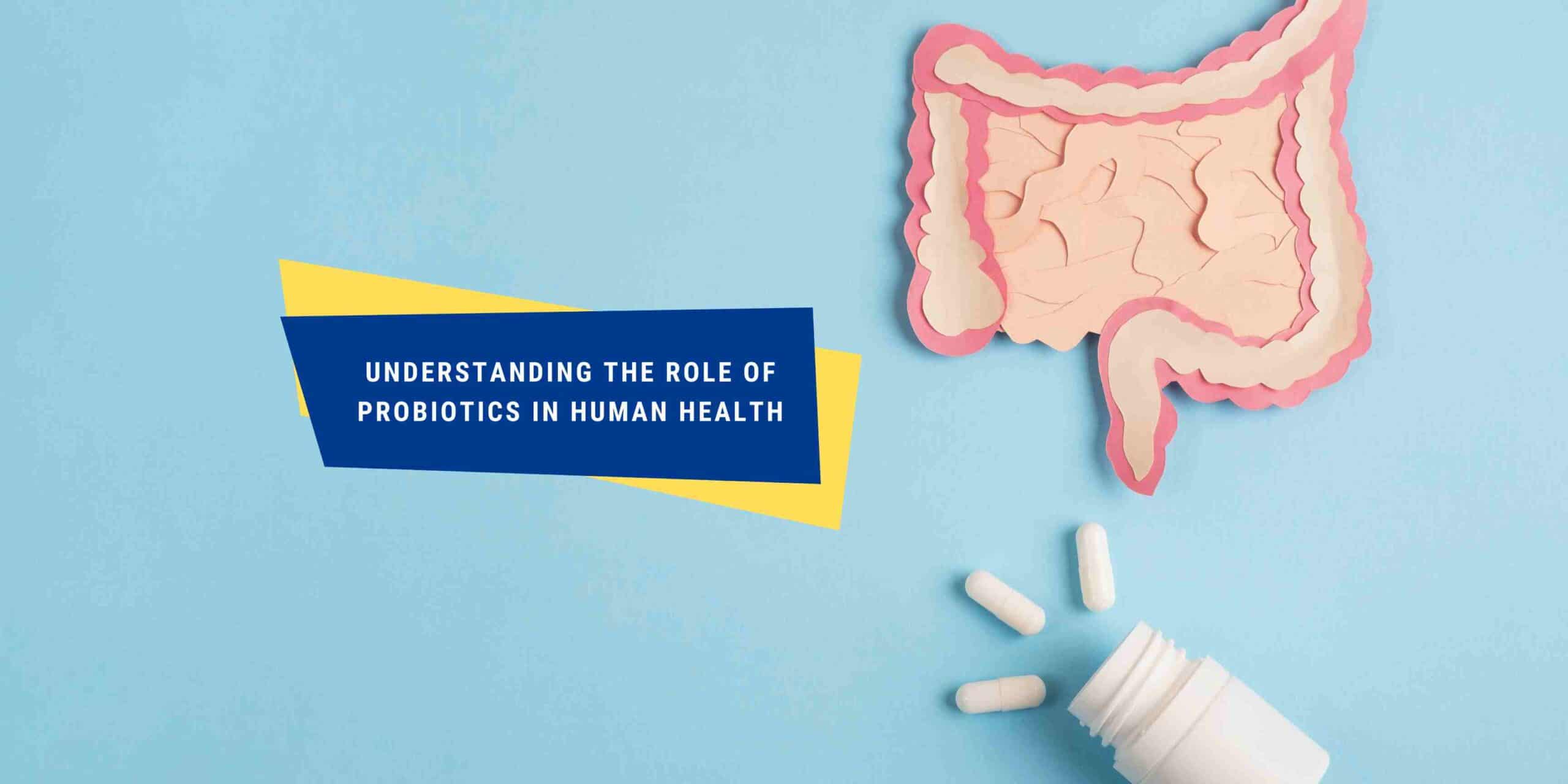 Understanding the Role of Probiotics in Human Health