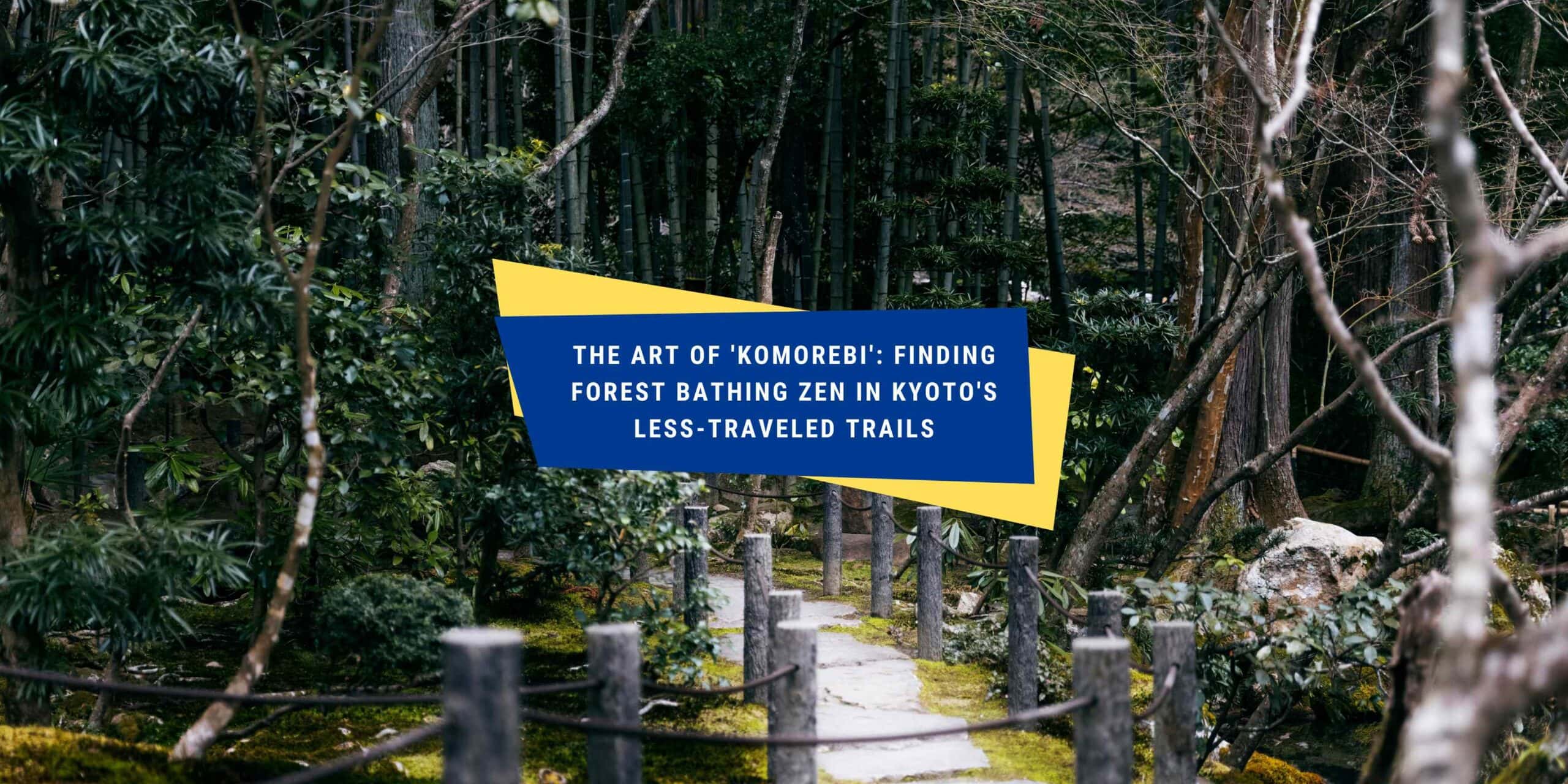 The Art of 'Komorebi': Finding Forest Bathing Zen in Kyoto