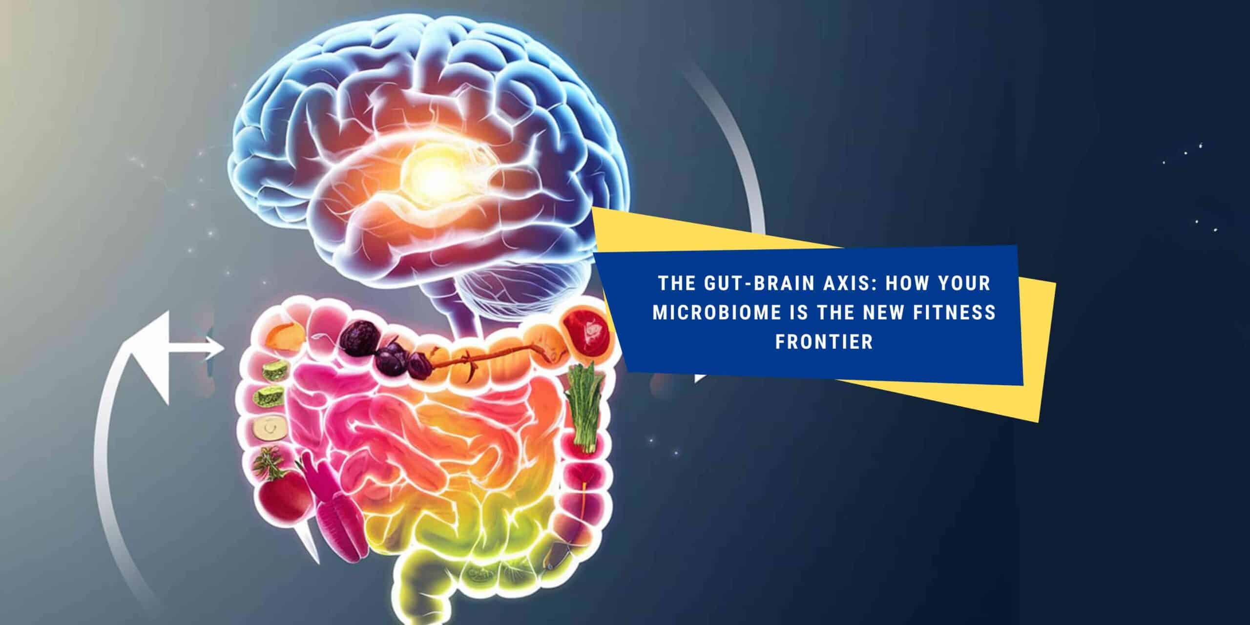 Gut-Brain Axis: How Your Microbiome is the New Fitness Frontier